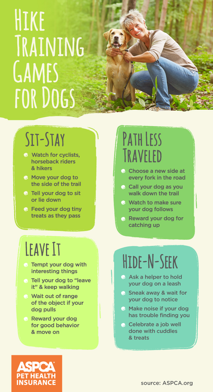 What Counts As Exercise For A Dog What Counts As Exercise For A Dog