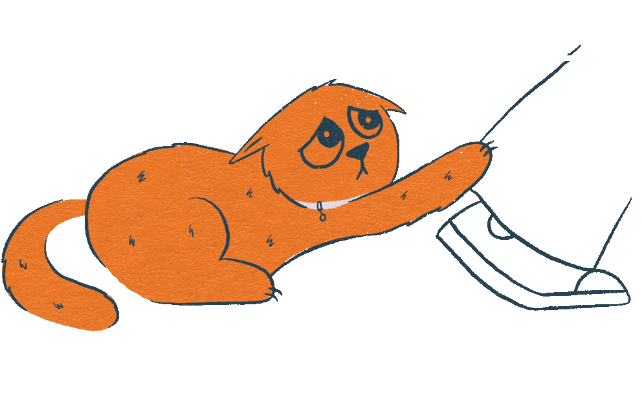 Understanding Pet Behavior | ASPCA Pet Health Insurance