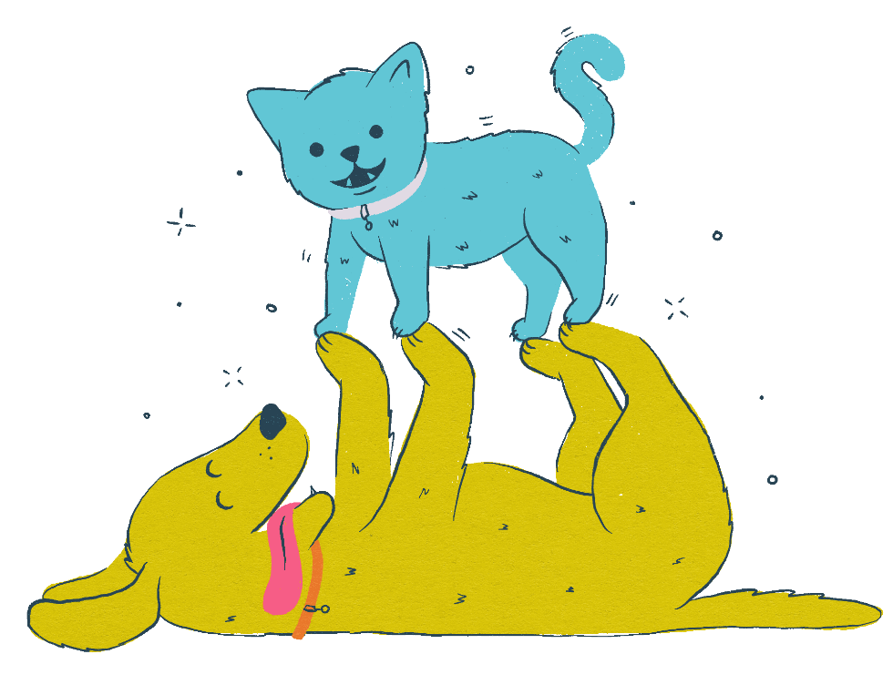 Understanding Pet Behavior | ASPCA Pet Health Insurance