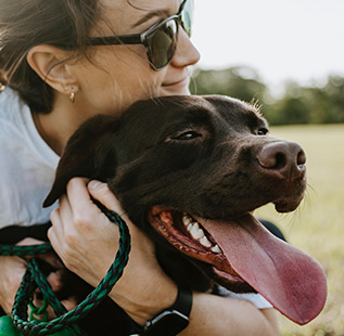 Leading Pet Health Innovation | Independence Pet Holdings